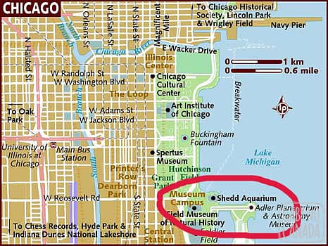 Chicago: lista de atrações [Parte 1] - Gaby no Canadá