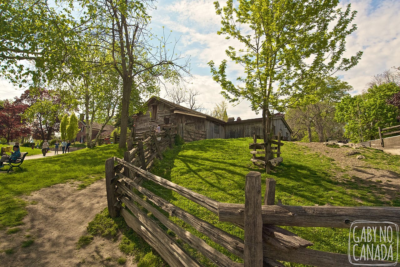 Riverdale Farm: a fazenda do centro de Toronto - Gaby no Canadá