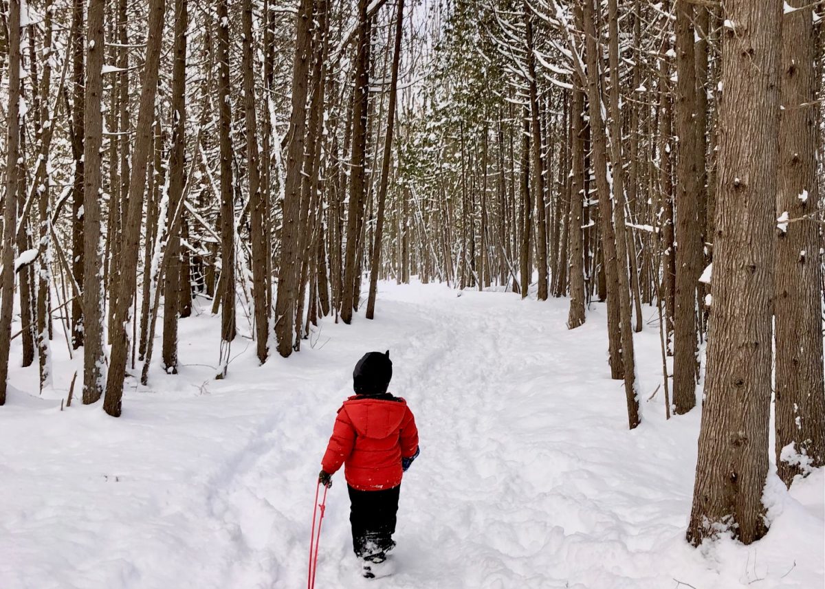 10 verdades sobre o inverno do Canadá - Gaby no Canadá